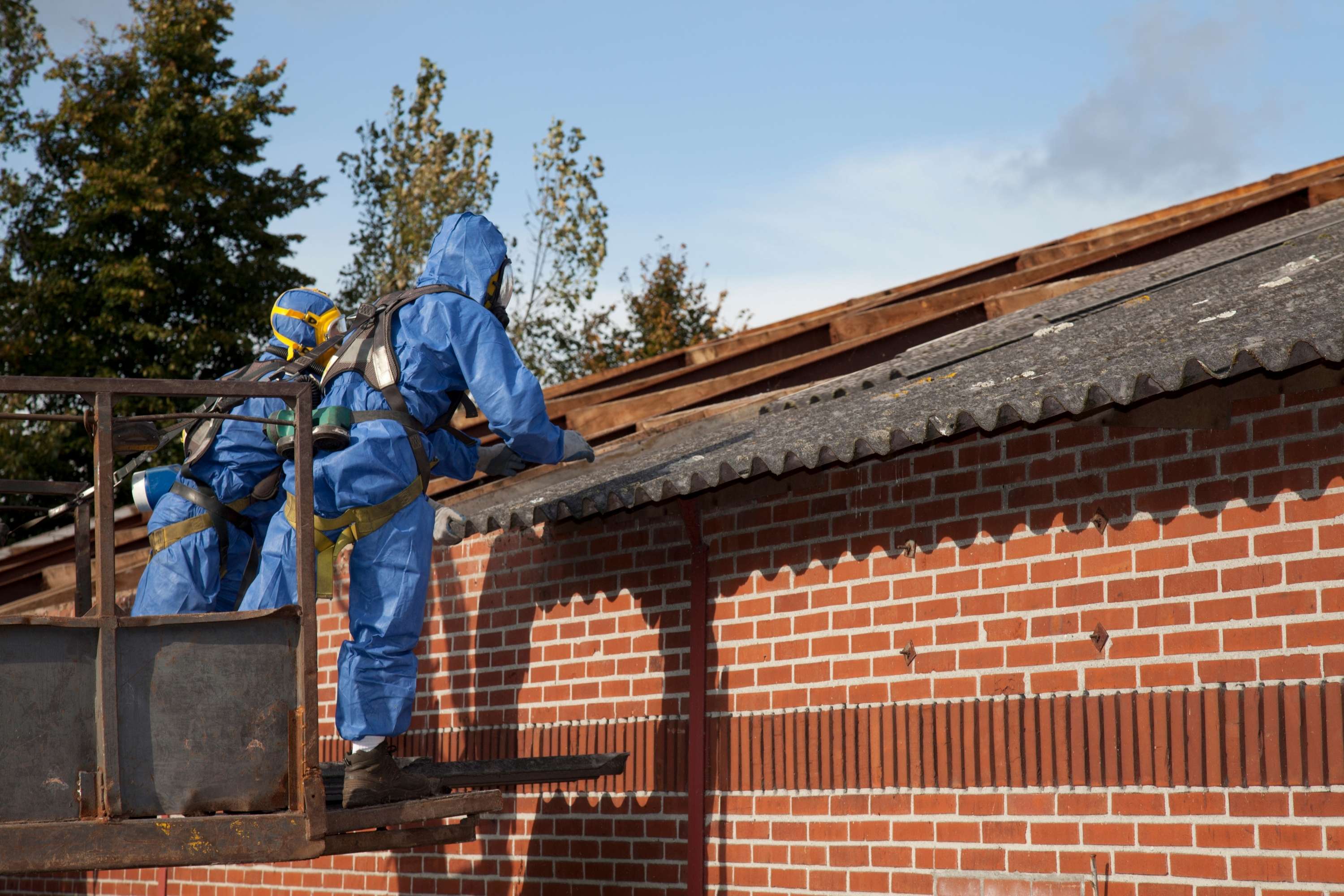 Rapid Asbestos Removals » Digital Marketing Case Study